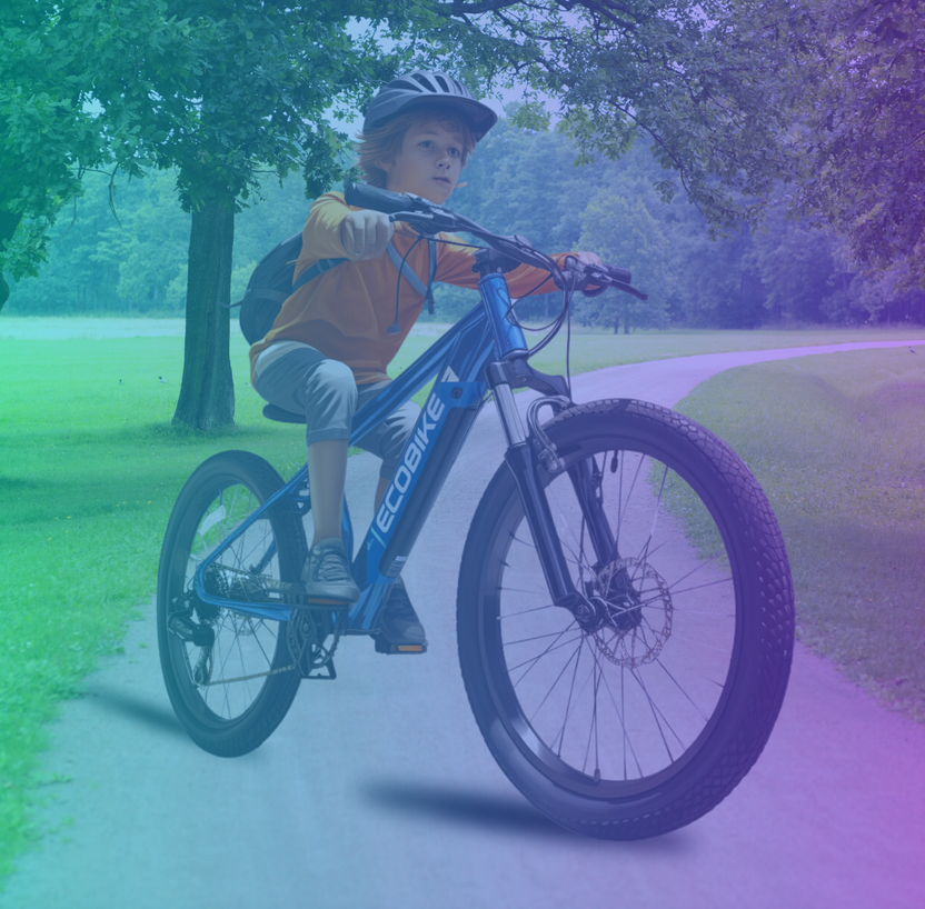 Ananda M100: the most powerful and powerful motor for e-bikes – Ecobike ...