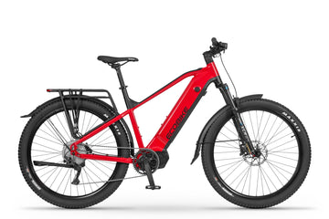 E-Bikes mit Ananda Motor: Kraftvoll und Zuverlässig für Jede Fahrt – Ecobike-Shop